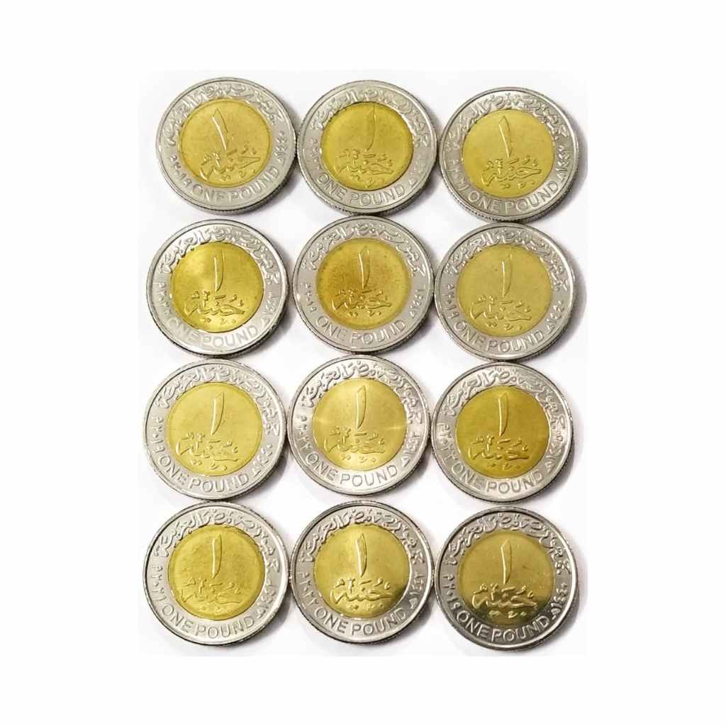 Egypt 1 Pound 12 Different AUNC Bimetal Coins Full Set